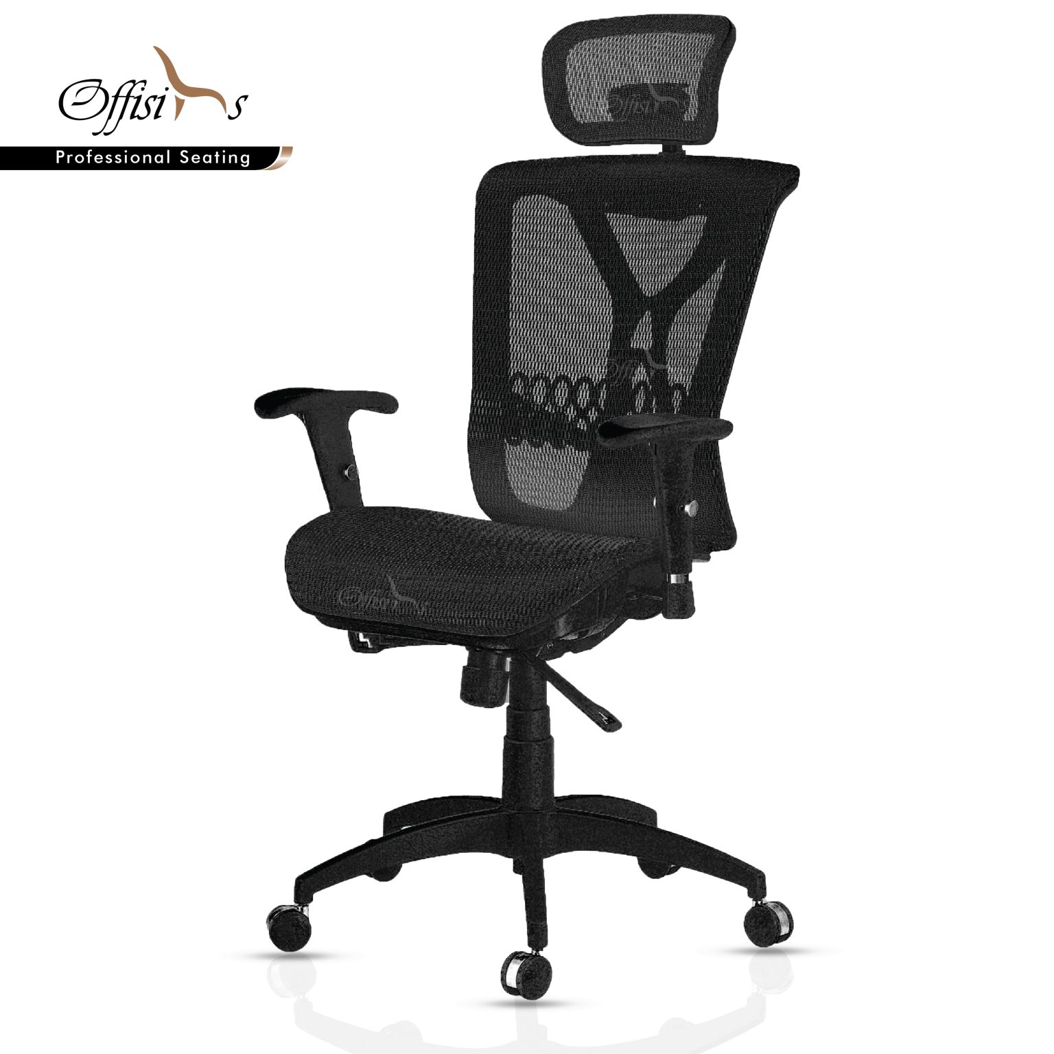 Ergonomic Mesh Office Chair With Flexible Lumbar Support (FC-01 ...